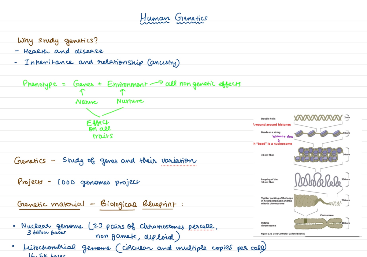 Human Genetics Introduction - ANHB1101 - Studocu
