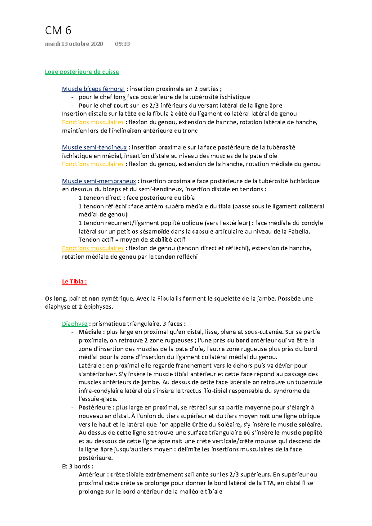 CM6 Anatomie - Notes de cours 6 - ŽŐĞ ƉŽƐƚĠƌŝĞƵƌĞ ĚĞ ĐƵŝƐƐĞ - Studocu