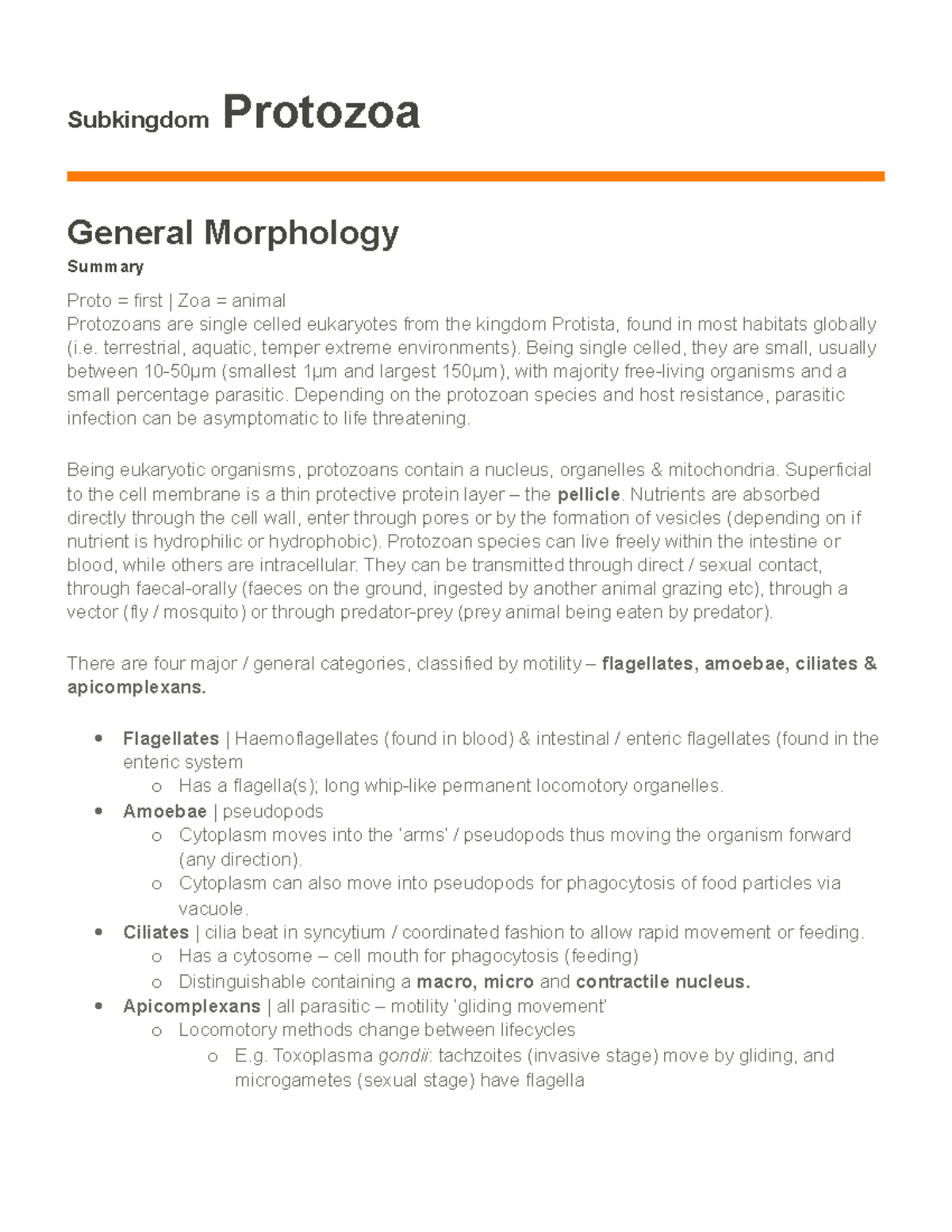 Protozoa - Lecture Notes - Subkingdom Protozoa General Morphology ...