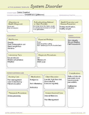 Cardiac cath 617 - ATI - ACTIVE LEARNING TEMPLATES THERAPEUTIC ...