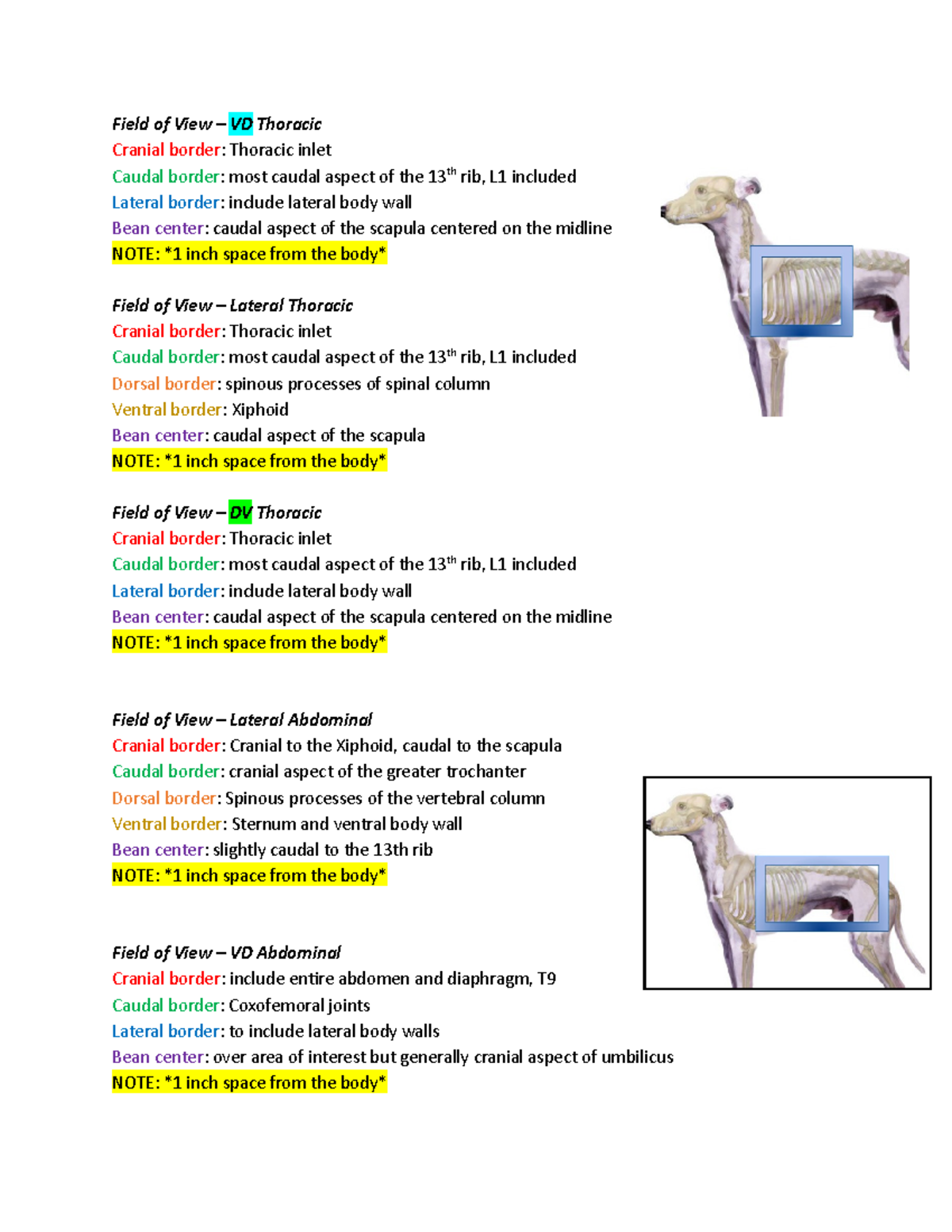 Positioning Abd and Thorax xray - Field of View – VD Thoracic Cranial ...