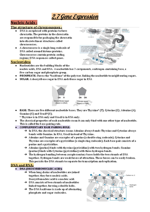 Biology 2.7 gene expression notes - Nucleic acids and complementary ...