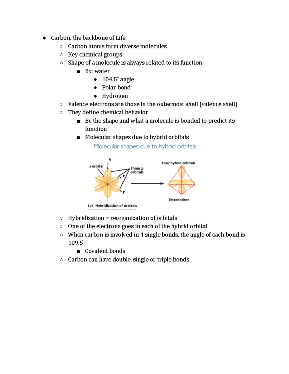 Ch 4 Bio Notes - Carbon, the backbone of Life Carbon atoms form diverse ...