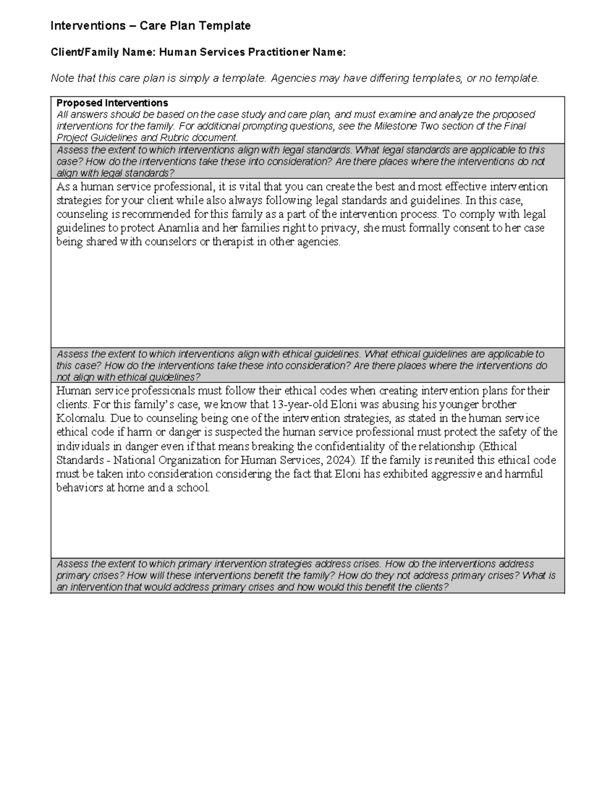 HSE Interventions Care Plan Template - Interventions – Care Plan ...