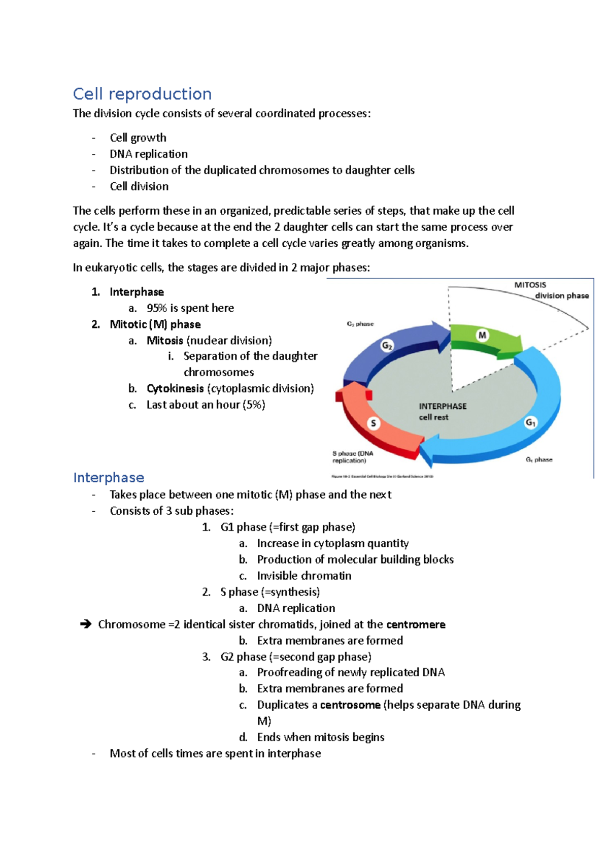 Cell reproduction - oui - Cell reproduction The division cycle consists ...