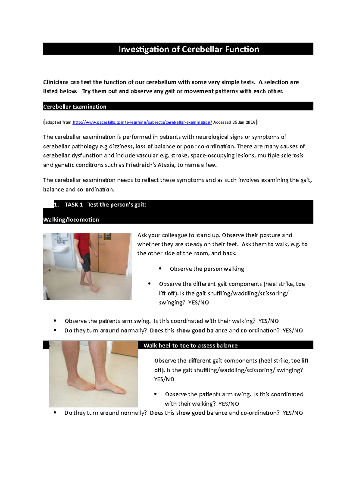 Cerebellum activity - Lecture notes 3 - Invesigaion of Cerebellar ...