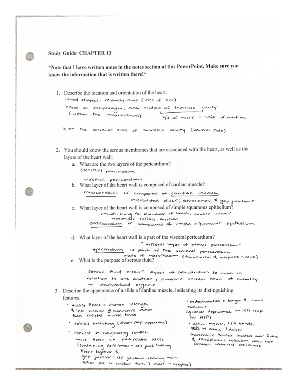 Anatomy Sg 13 Study Guide For Heart Biol 2320 Studocu