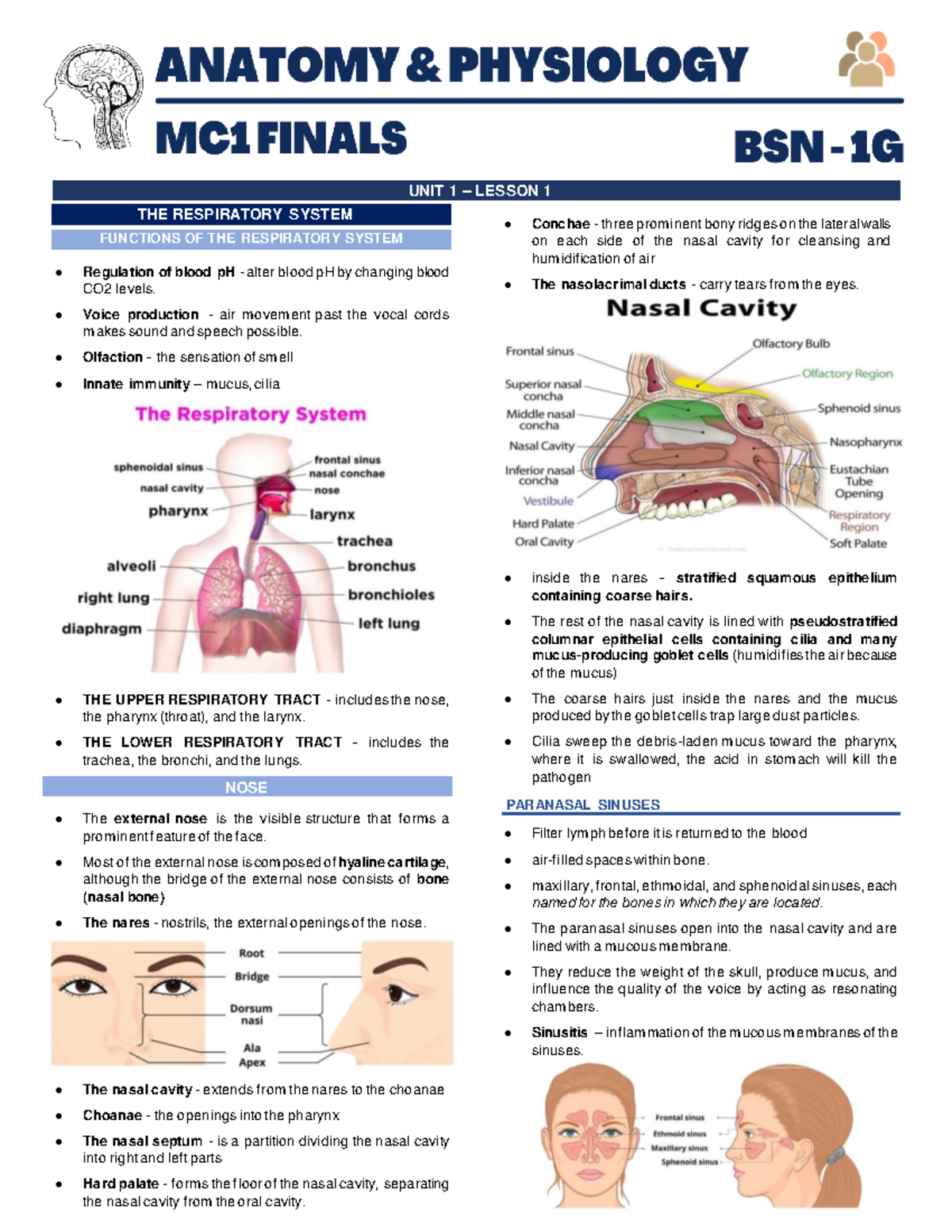 3F - Respiratory System 1 - Regulation of blood pH - alter blood pH by ...