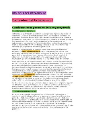 Derivados del mesodermo paraxial - 1 ). La región central es el ...