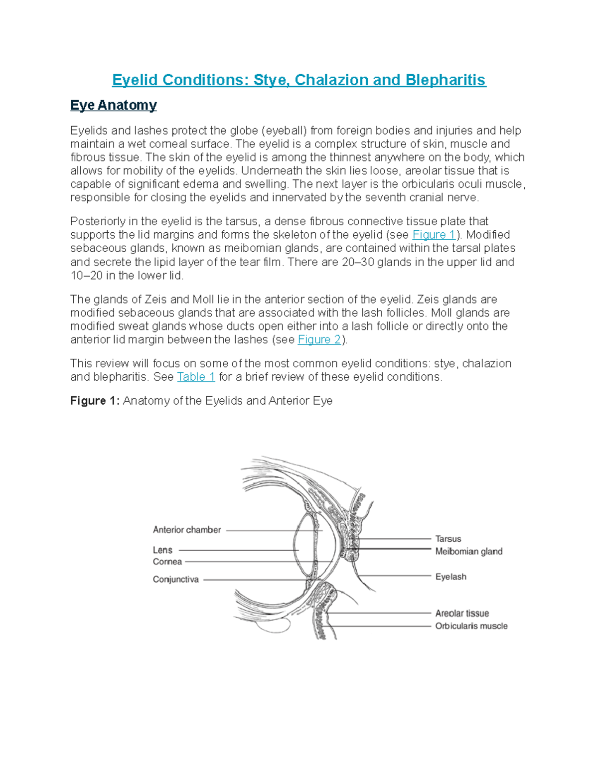 Eye - description of the book - Eyelid Conditions: Stye, Chalazion and ...