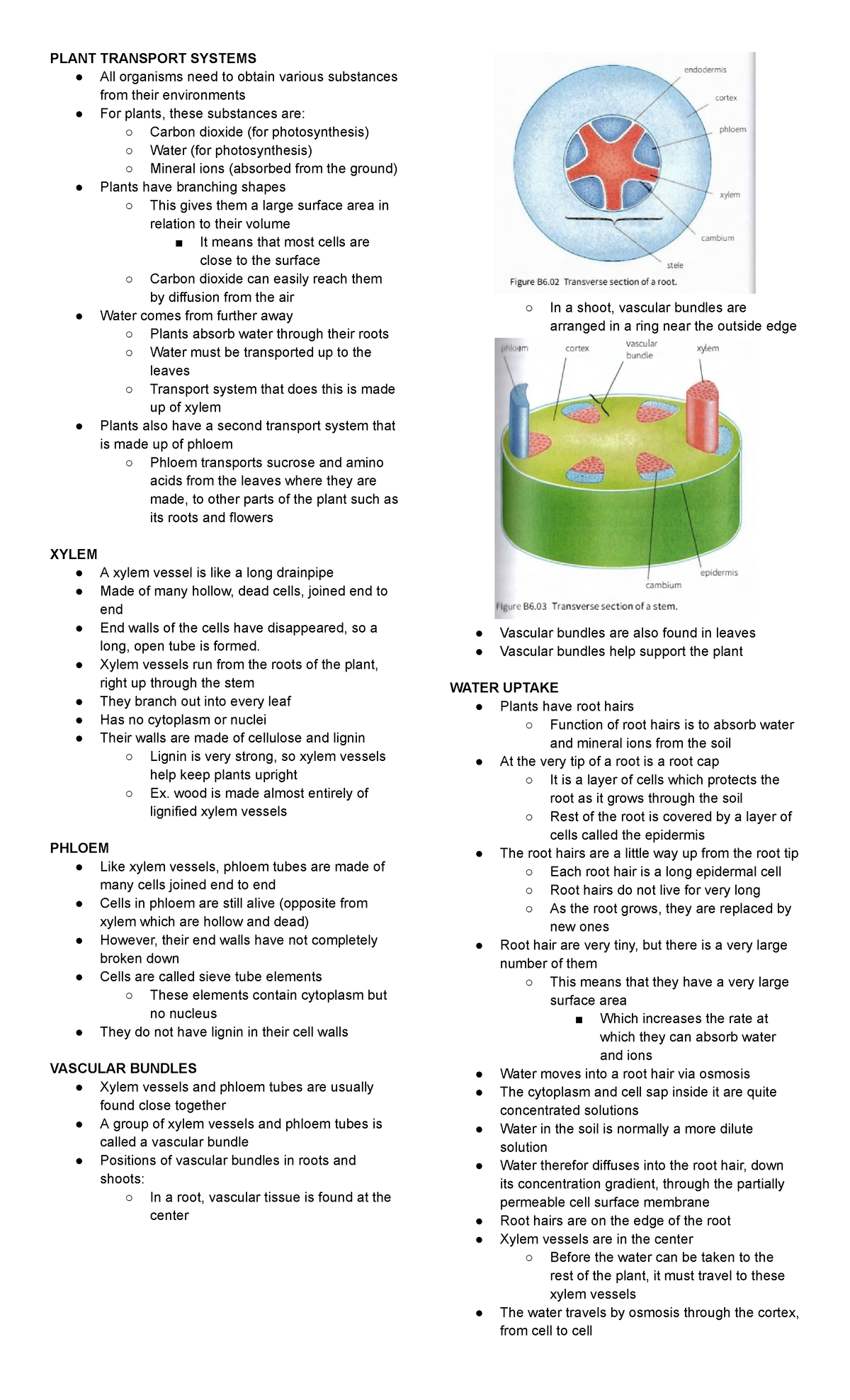 Biology Reviewer Unit 6 Transport in Plants - PLANT TRANSPORT SYSTEMS ...