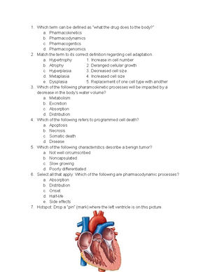 NANDA- Mary Winton/ Michele Carswell - NUR 260 - Studocu