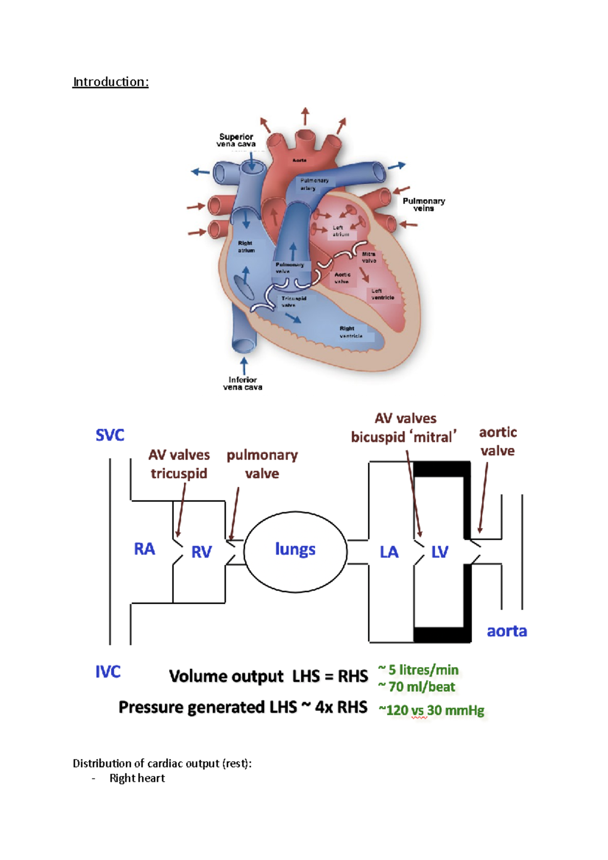 Introduction - Introduction: Distribution of cardiac output (rest ...