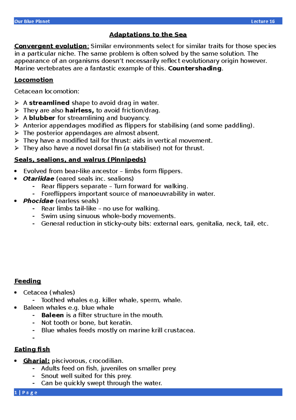 W6 L16 Adaptations to the sea - Adaptations to the Sea Convergent ...