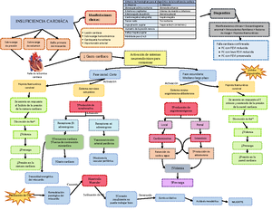 Observación Microscópica Y Descripción - Adenocarcinoma DE Riñón, Nefritis Aguda, Hipertensión ...