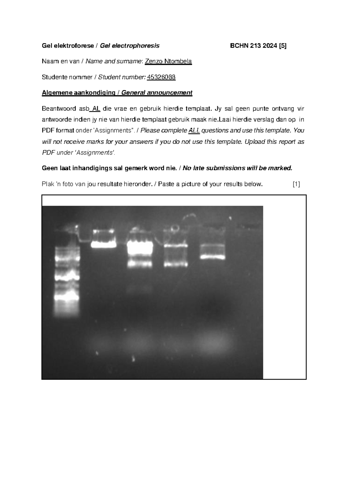 Gel electrophoresis report Part 2 - Gel elektroforese / Gel ...