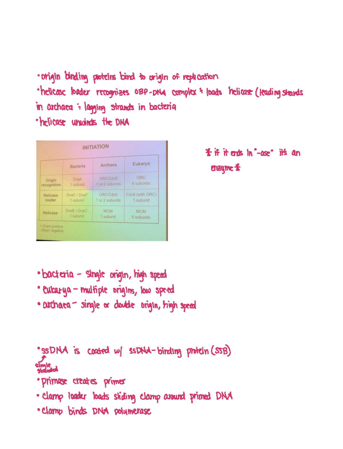 10-3 Lecture - Notes - Initiation ####### origin binding proteins ...