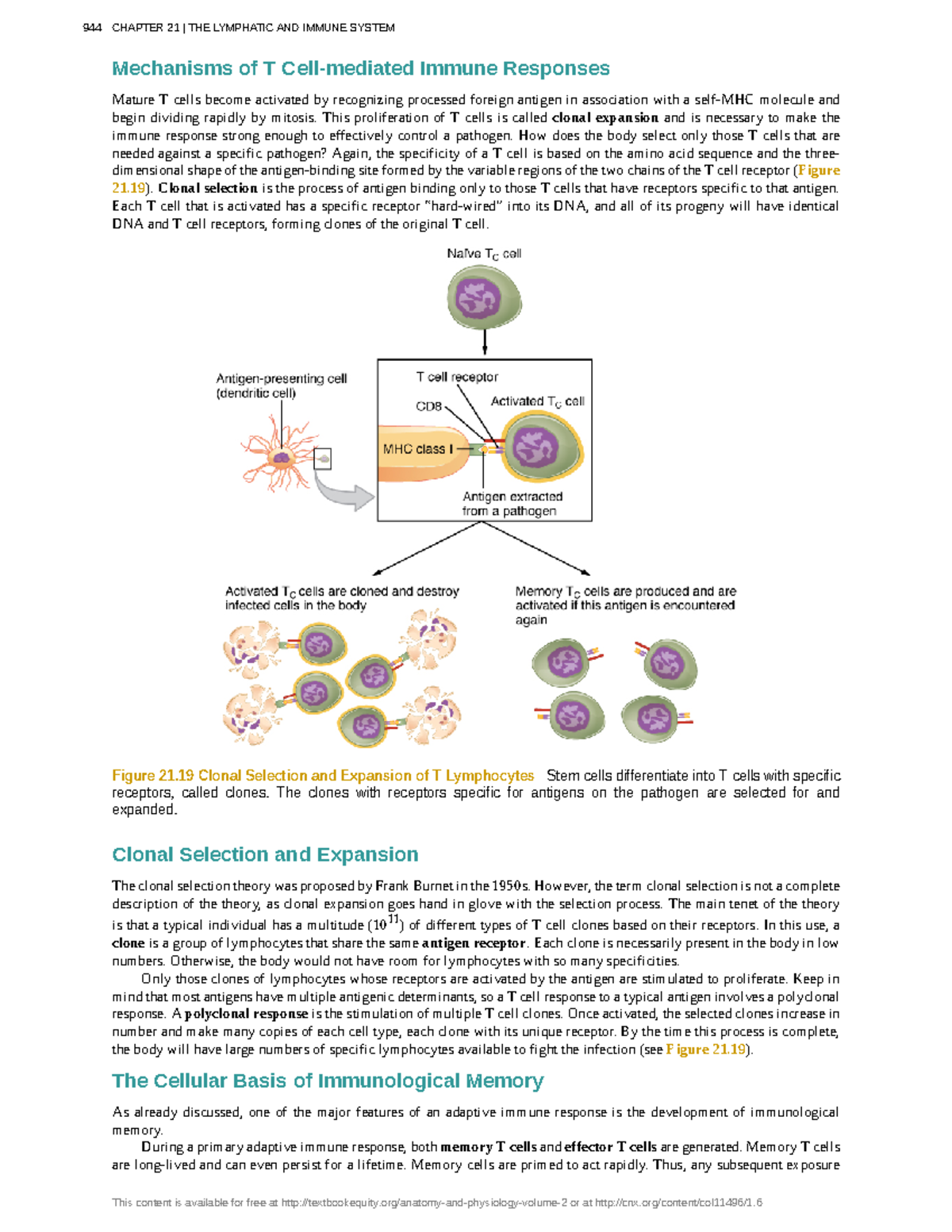 Ana Phy-491-495 - Anaphy Lectures Collection - Mechanisms of T Cell ...