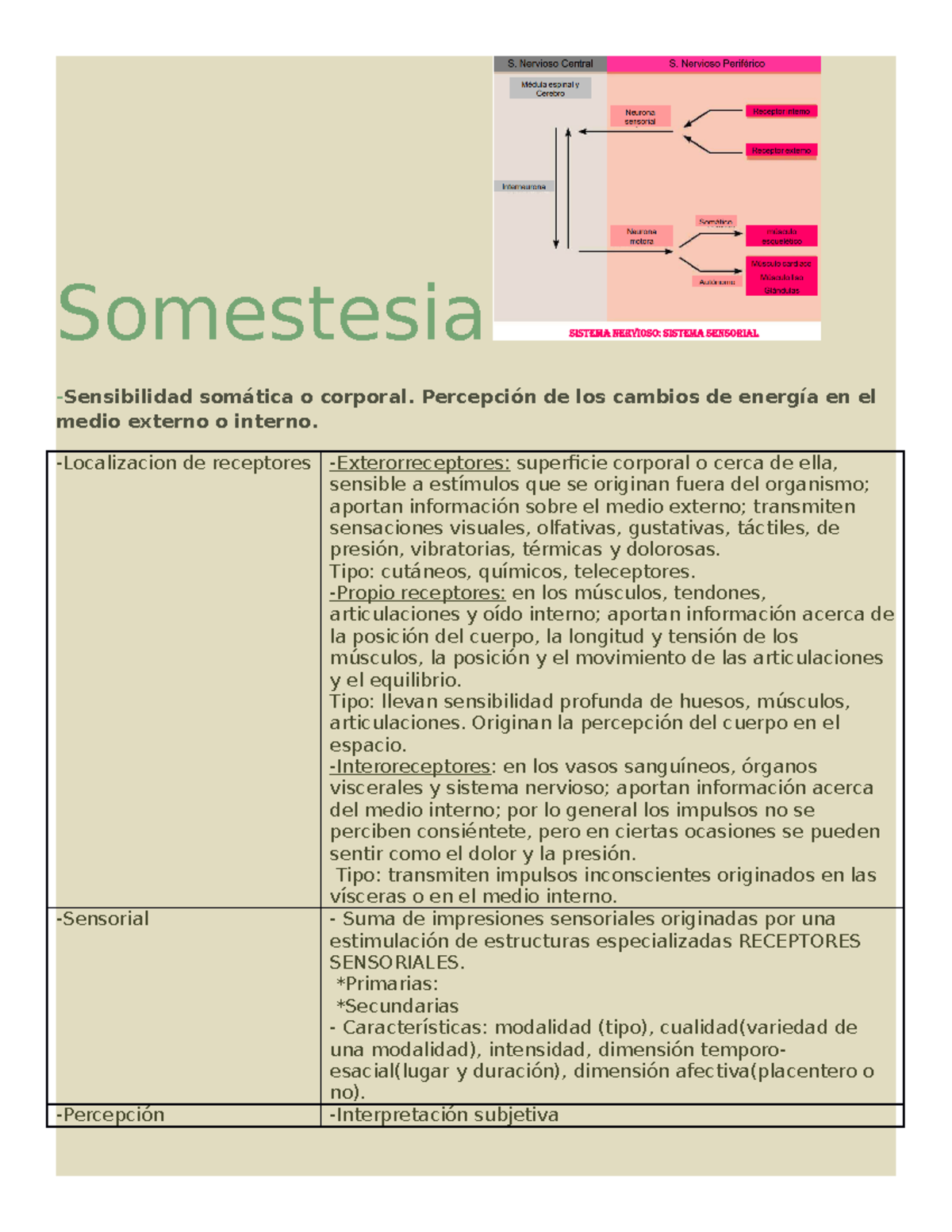 Somestesia - ASNCJ - Somestesia Sensibilidad somática o corporal ...