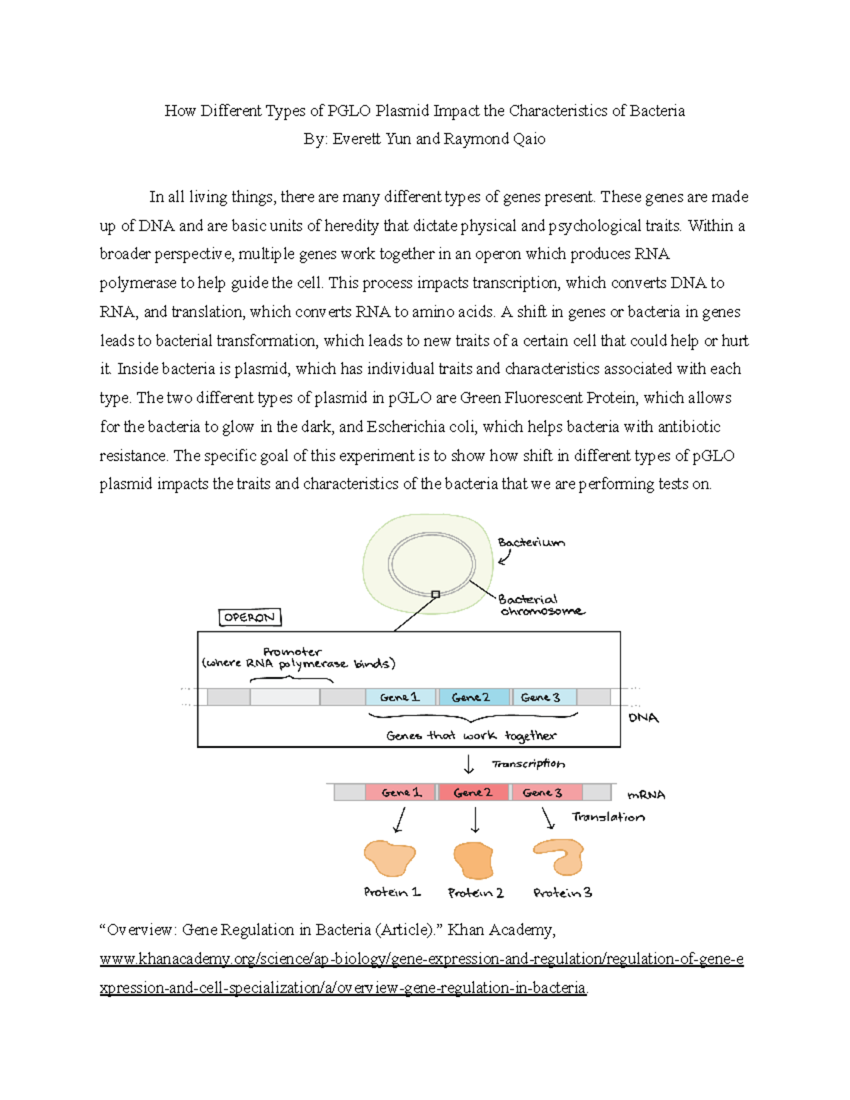 Pglo lab report - bruh - How Different Types of PGLO Plasmid Impact the ...