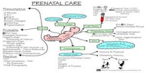 APGAR Score Made Easy - NR-327 - Studocu