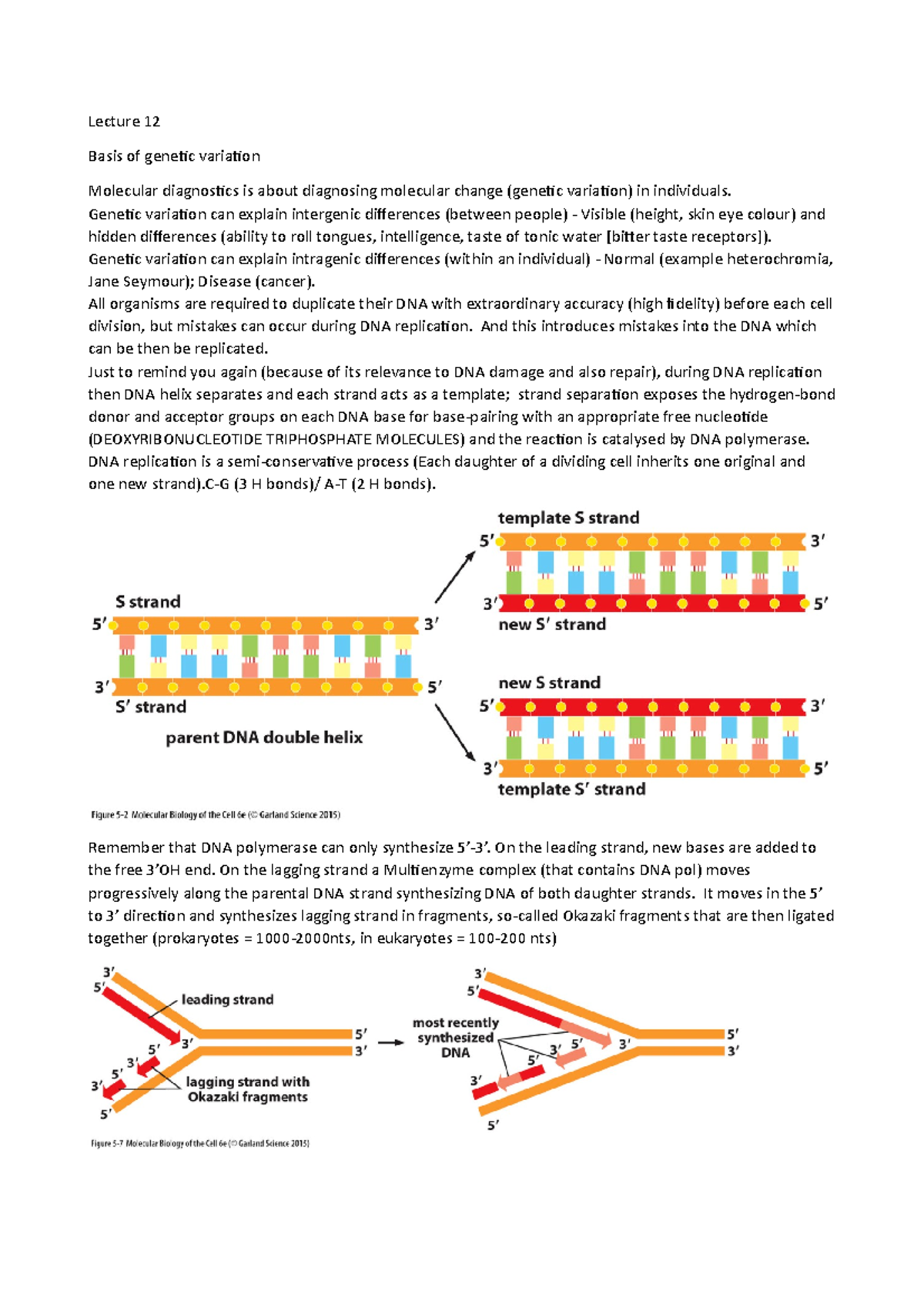 Lecture 13- Genetic Variation - Lecture 12 Basis of genetic variation ...
