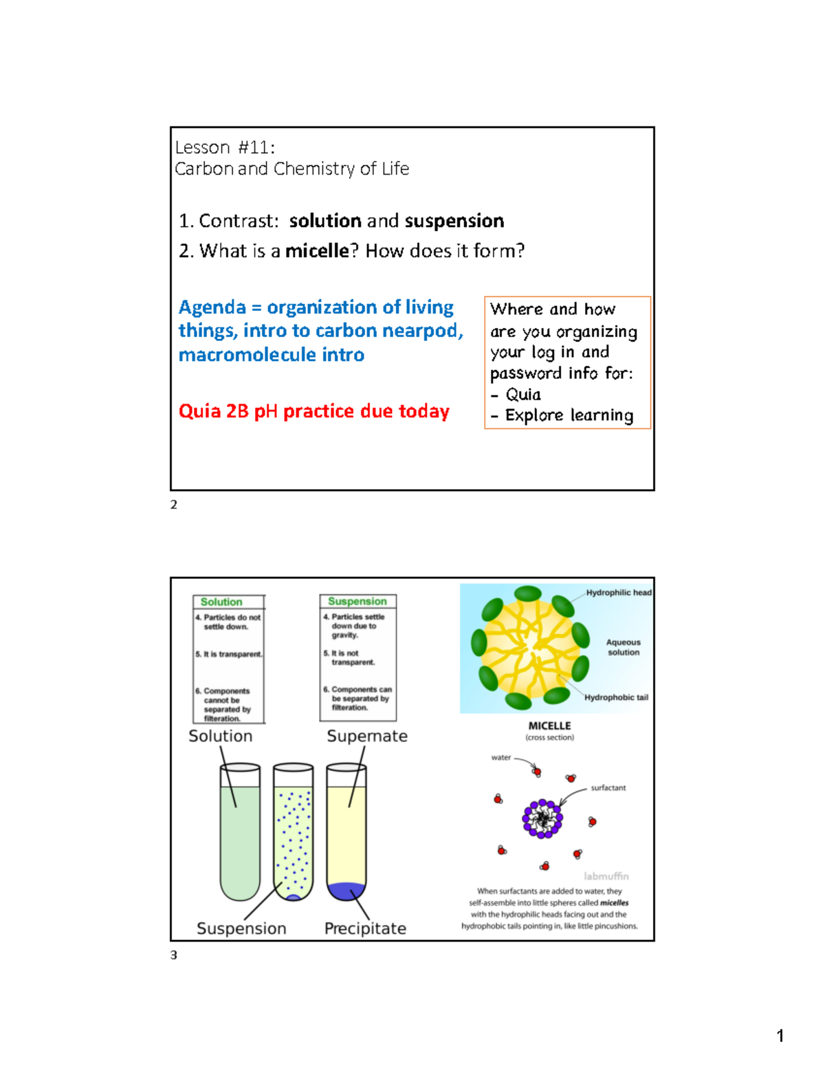 Intro+to+macromolecules+notes+(oct+6)+honors - Lesson #11: Carbon and ...