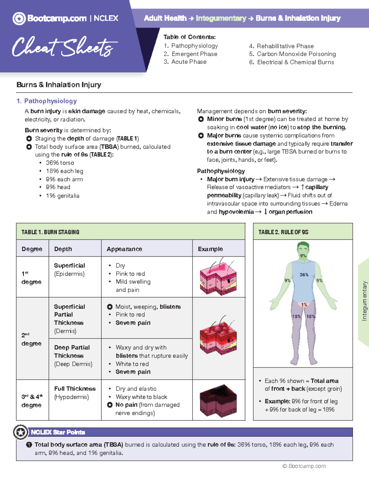 Burns & Inhalation Injury - Table of Contents: Pathophysiology Emergent ...