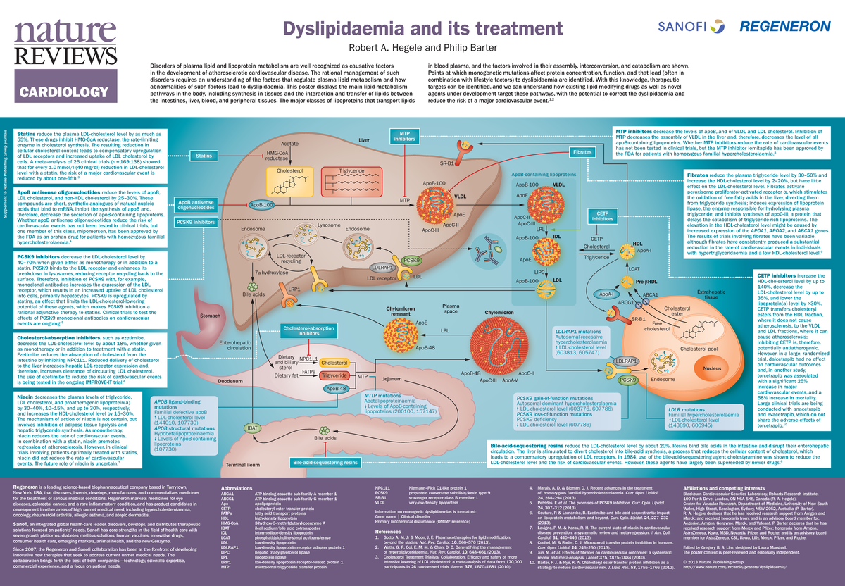 Nrcar dyslipidaemia poster web - Triglyceride Cholesterol MTTP ...