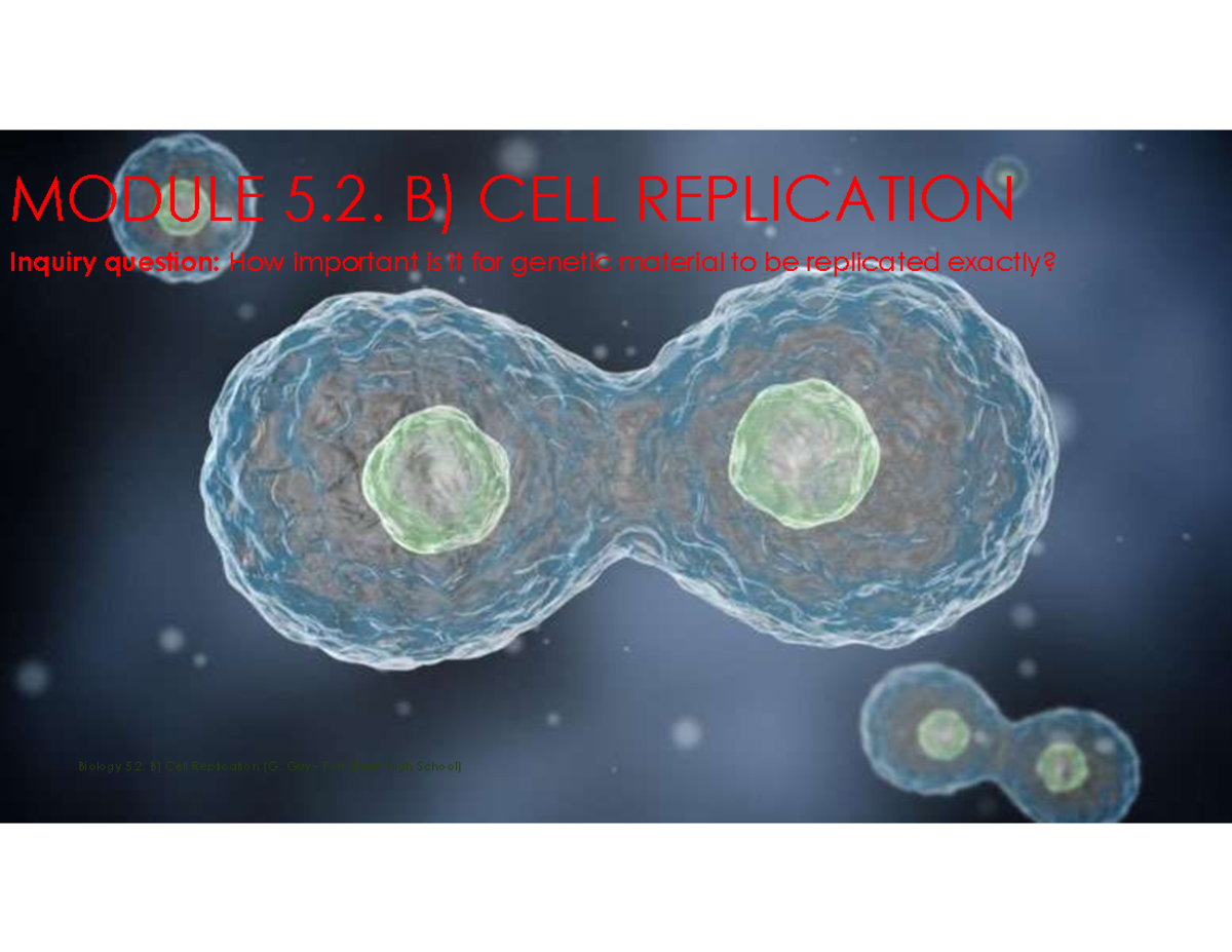 Module 5.2. B) Cell Replication - MODULE 5. B) CELL REPLICATION Inquiry ...