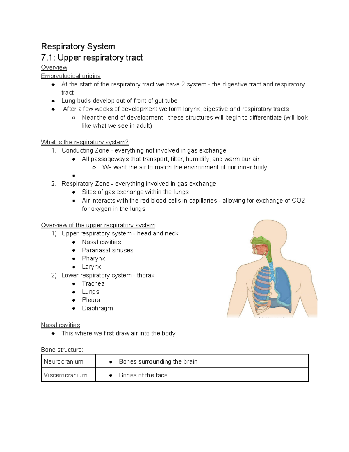 Health SCI 2300) Unit 7 Respiratory - Respiratory System 7: Upper ...