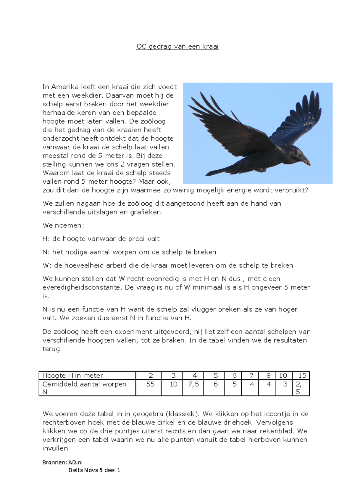 OC gedrag van een kraai - Daarvan moet hij de schelp eerst breken door ...