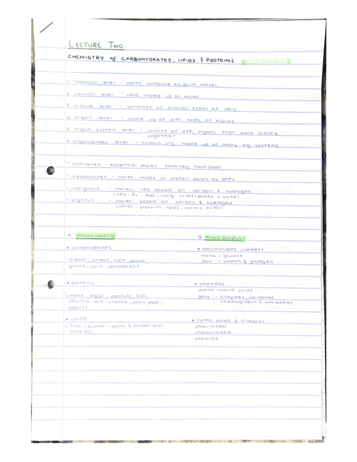 Lecture Two: - HUB113 - Studocu