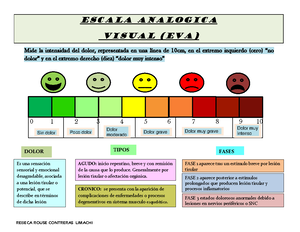 Triaje short y start - gracias por su ayuda - UNIVERSIDAD PRIVADA FRANZ ...