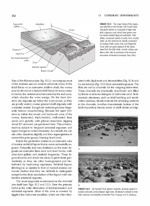 Principles of Sedimentology and Stratigraphy by Sam Jr. Boggs ...