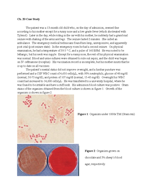 Ch. 19 HW Case Study - Ch. 19 Case Study The patient was a 44 year-old ...