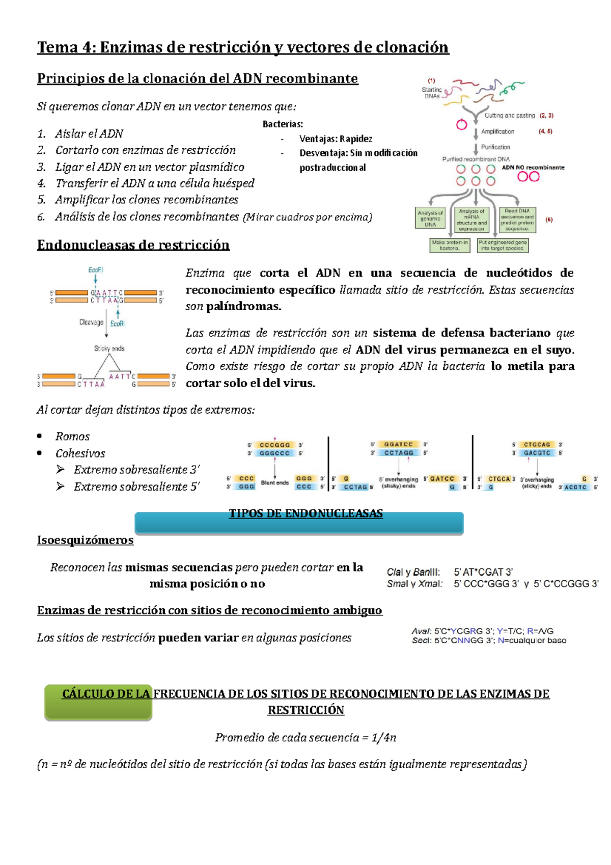 Tema 4 - Tema 4 - Tema 4: Enzimas de restricción y vectores de clonación Principios de la ...