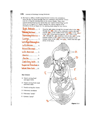 Homeostasis - Studocu