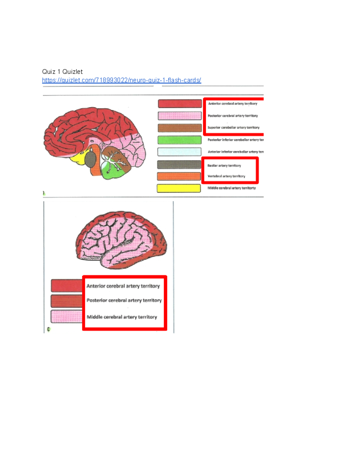 Neuro Notes - Quiz 1 Quizlet quizlet/718993022/neuro-quiz-1-flash-cards ...