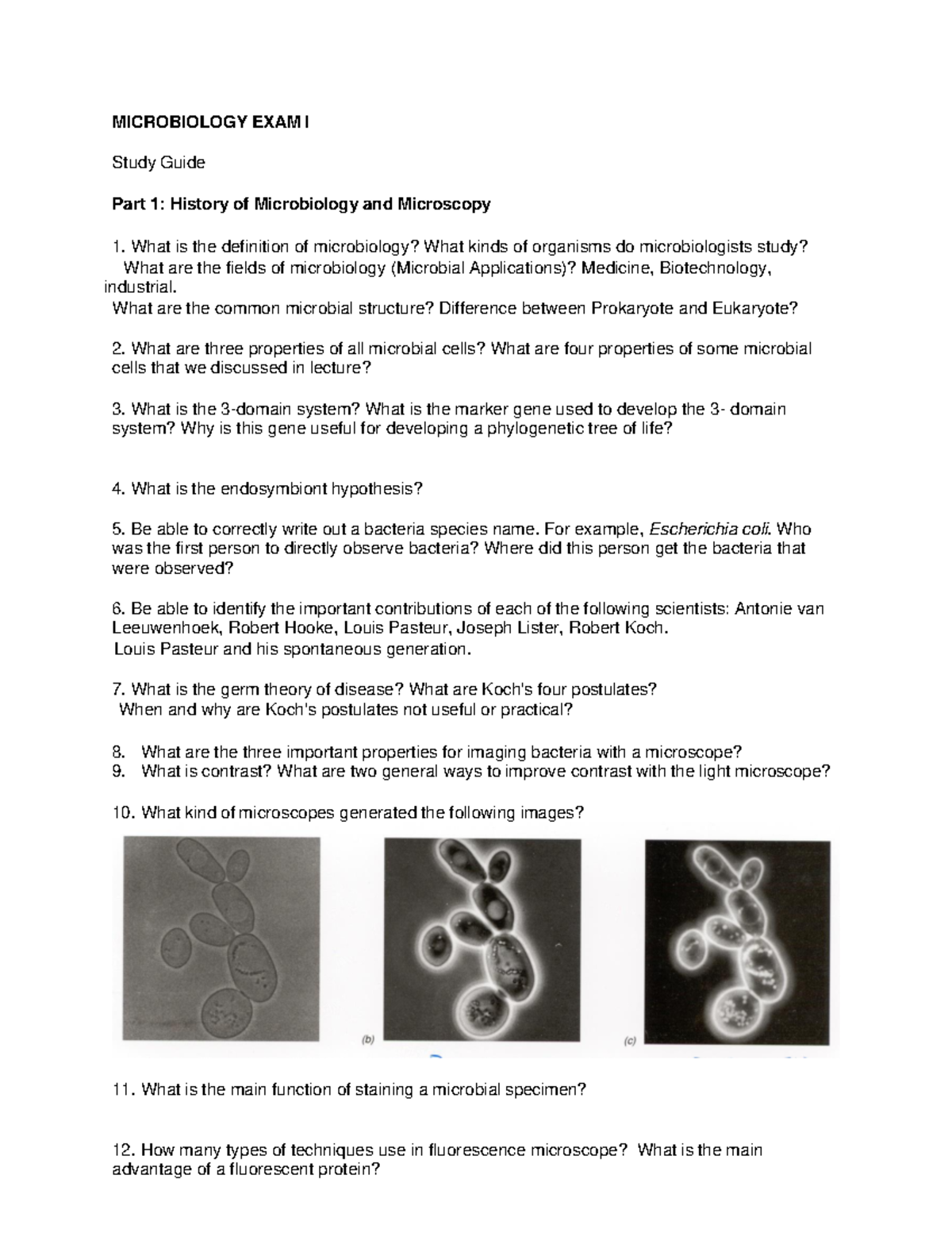 Spring 2024 Study Guide Microbiology EXAM I - MICROBIOLOGY EXAM I Study ...