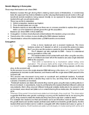 Notes - Week 1: Study Block Introduction The Human Genome Project ...