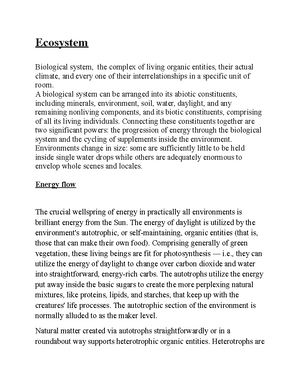 Productivity – Primary and secondary - Productivity – Primary and ...