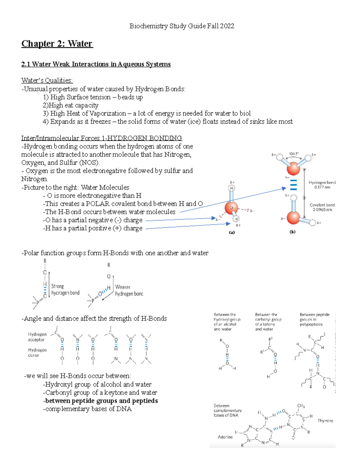 2 Bio Chem Study Guide - Chapter 2: Water 2 Water Weak Interactions in ...