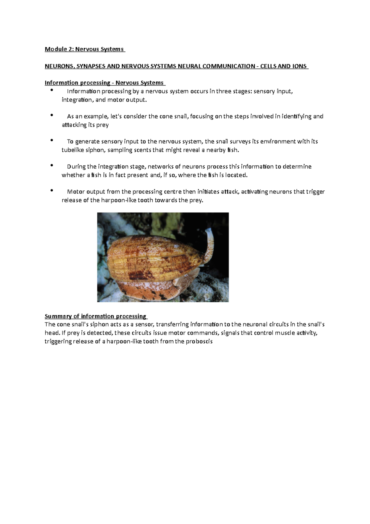 BIOL1040 Module 2 summary notes - Module 2: Nervous Systems NEURONS ...