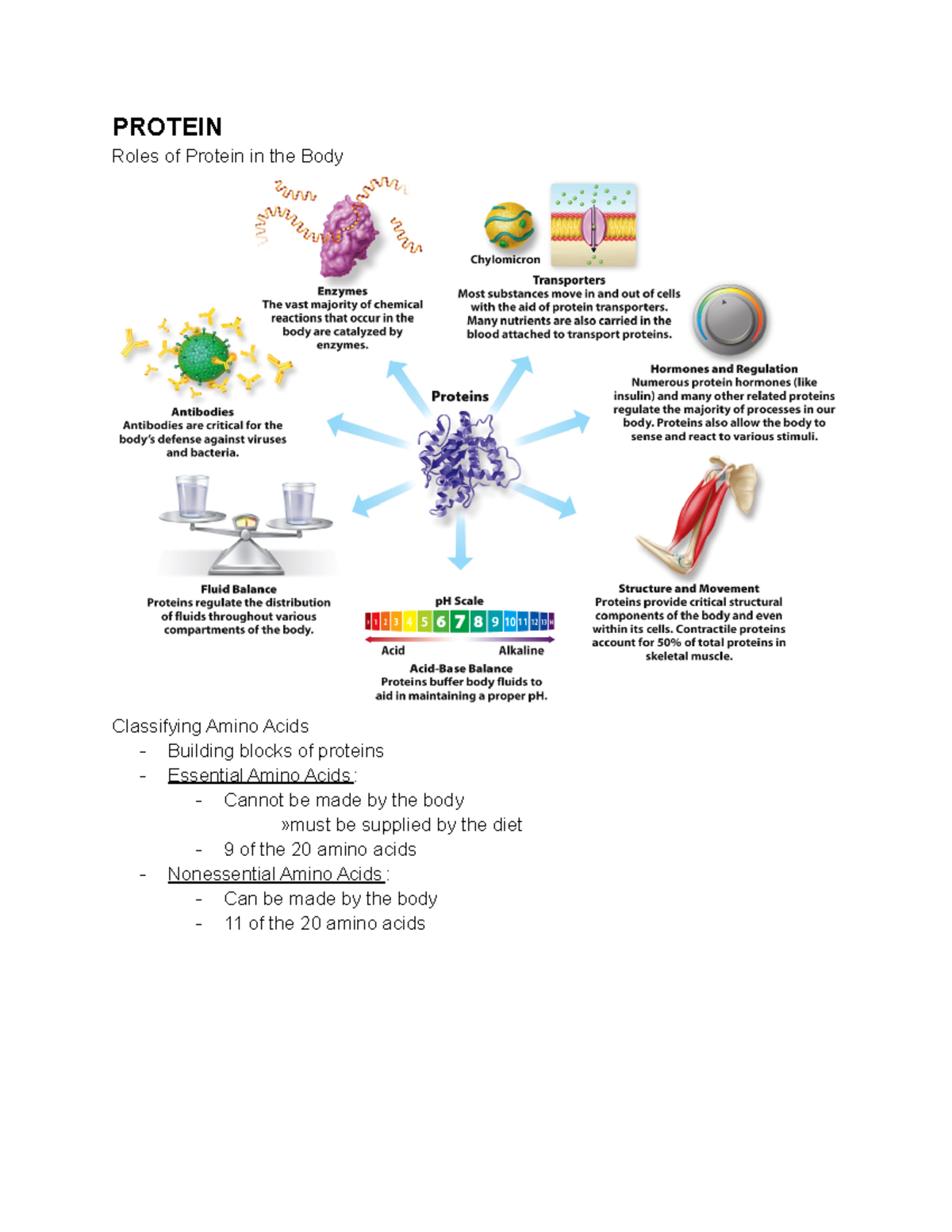 ESS3 Protein - This was taken Winter 2022 with Prof. Jamieson - PROTEIN ...