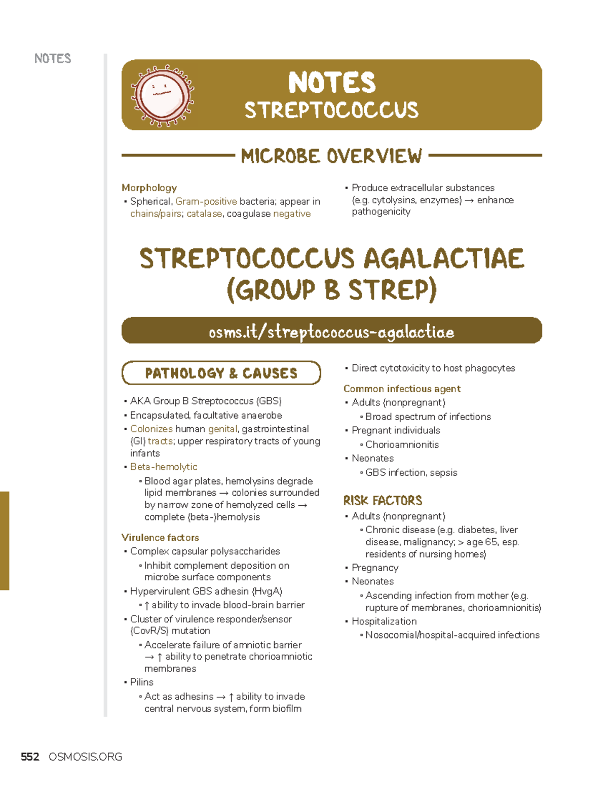 Streptococcus - Osmosis's prime notes on microbiology - NOTES ...