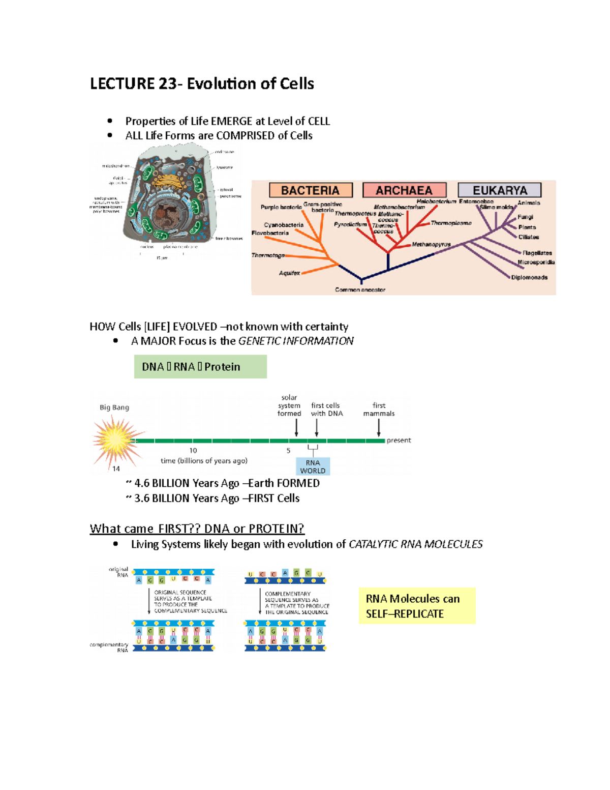 Lecture 23 - LECTURE 23- Evolution of Cells Properties of Life EMERGE ...