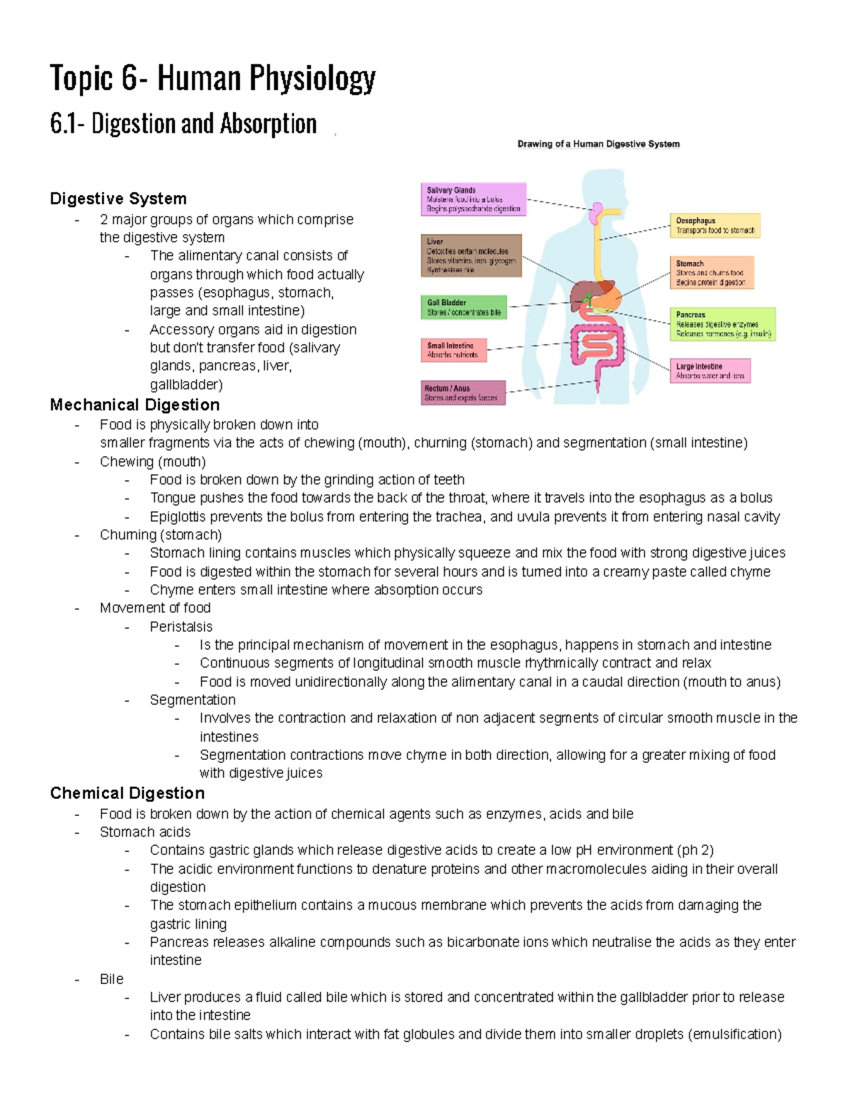 Topic 6 Notes - Topic 6- Human Physiology 6- Digestion and Absorption ...