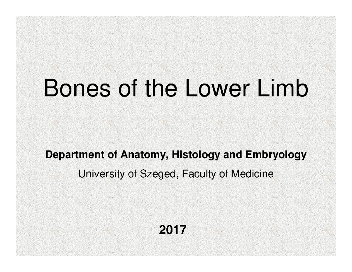 06 Bones of lower limb - sdfsdfds - Bones of the Lower Limb Department ...