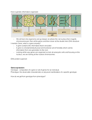 Cheat Sheet - PUNNETT SQUARE CHEAT SHEET Below is a sampling of Punnett ...